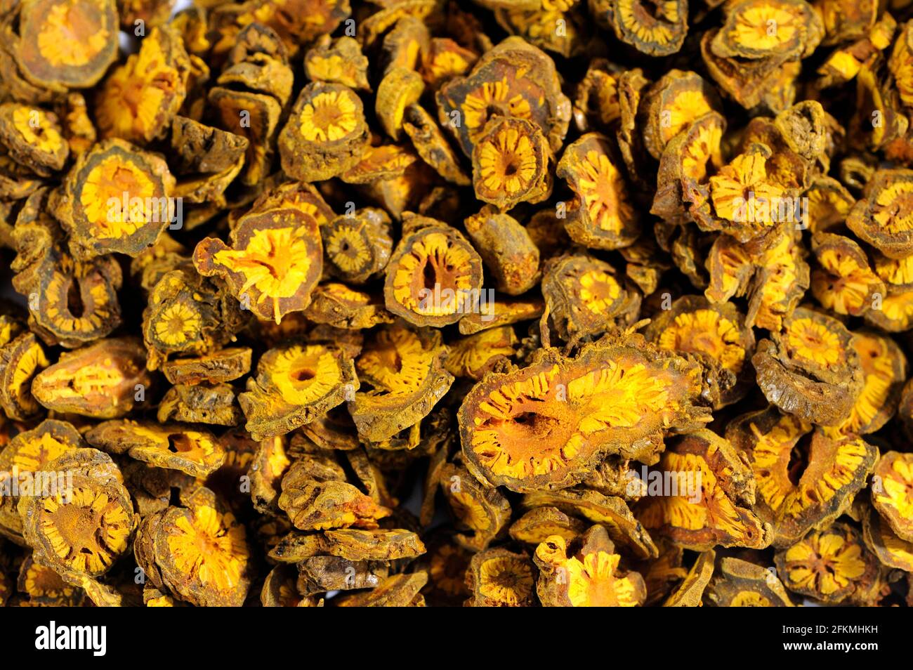 Golden thread root (Coptidis Rhizoma), Huang Lian Stock Photo - Alamy