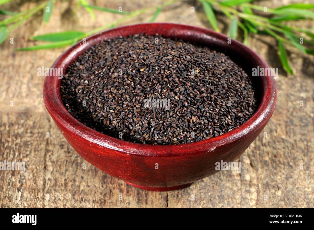 Plantago seeds (Plantaginis Semen), tea mixture, Chinese medicine Stock ...