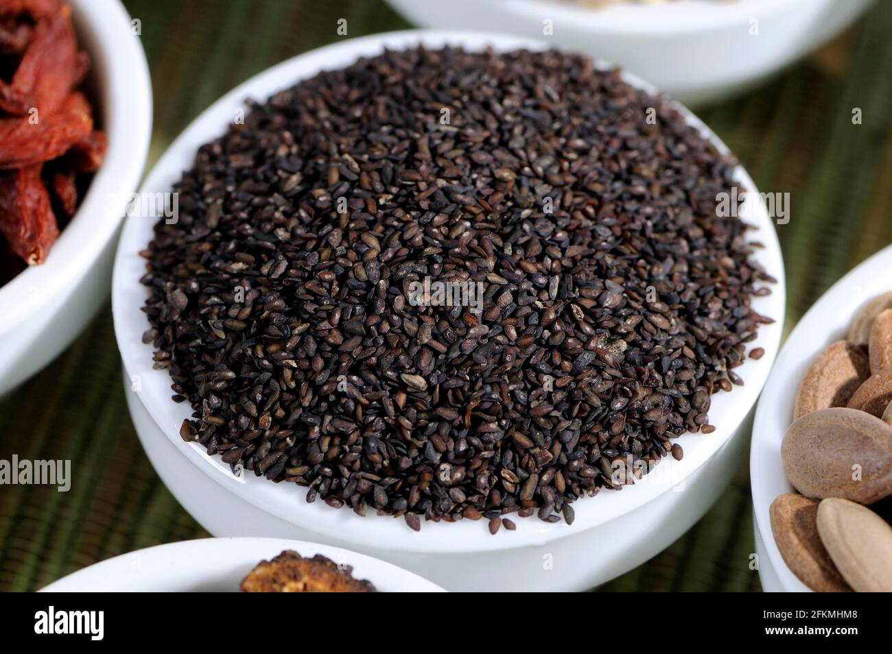 Plantago seeds (Plantaginis Semen), Che Qian Zi Stock Photo - Alamy