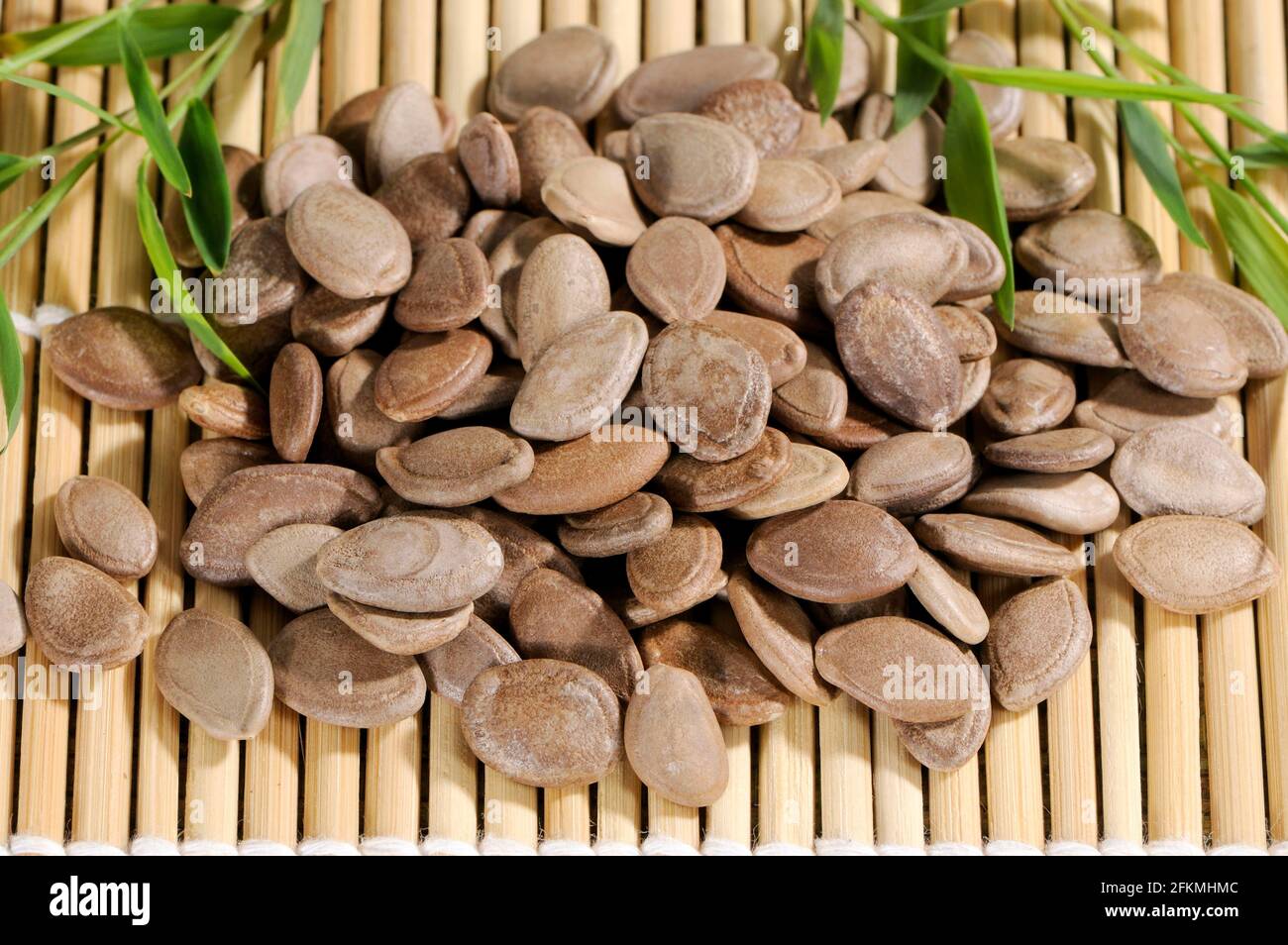 Snake gourd seeds ( Trichosanthis Semen Stock Photo - Alamy