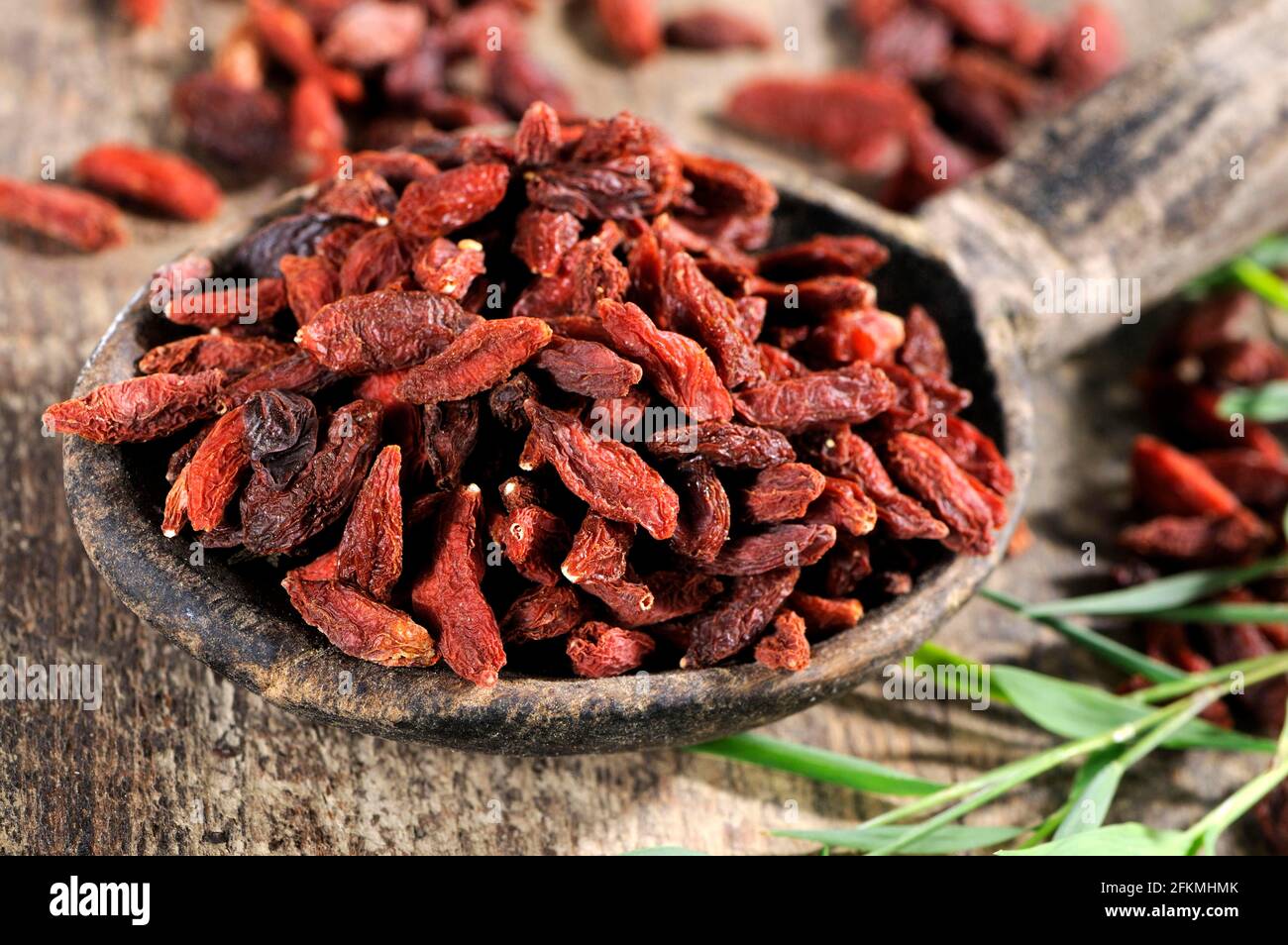 Lycii High Resolution Stock Photography and Images - Alamy