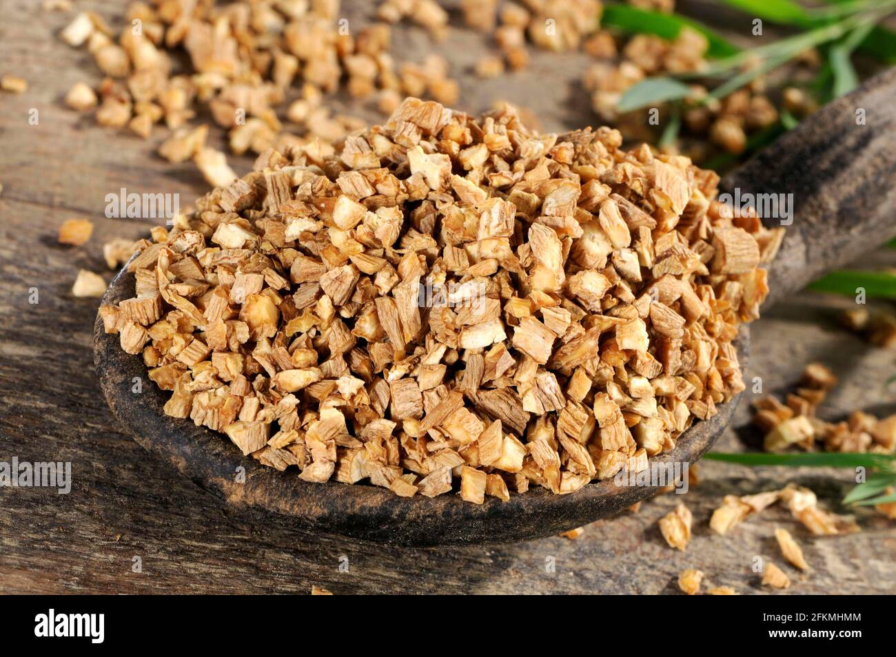 Radix stellariae hi-res stock photography and images - Alamy