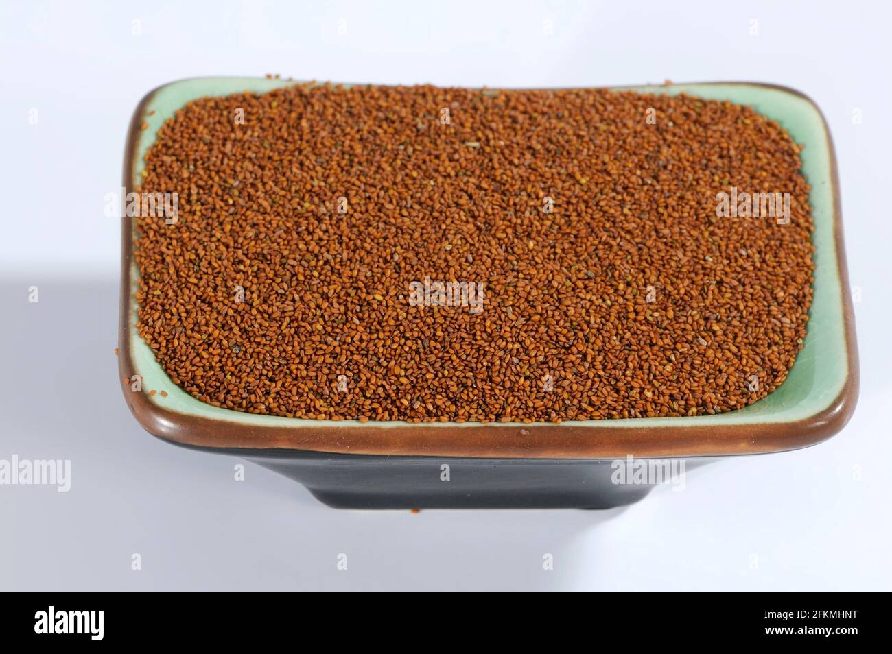 Pepperweed (Lepidium apetalum), Tansym mustard seed, Ting Li Zi, Sheng ...