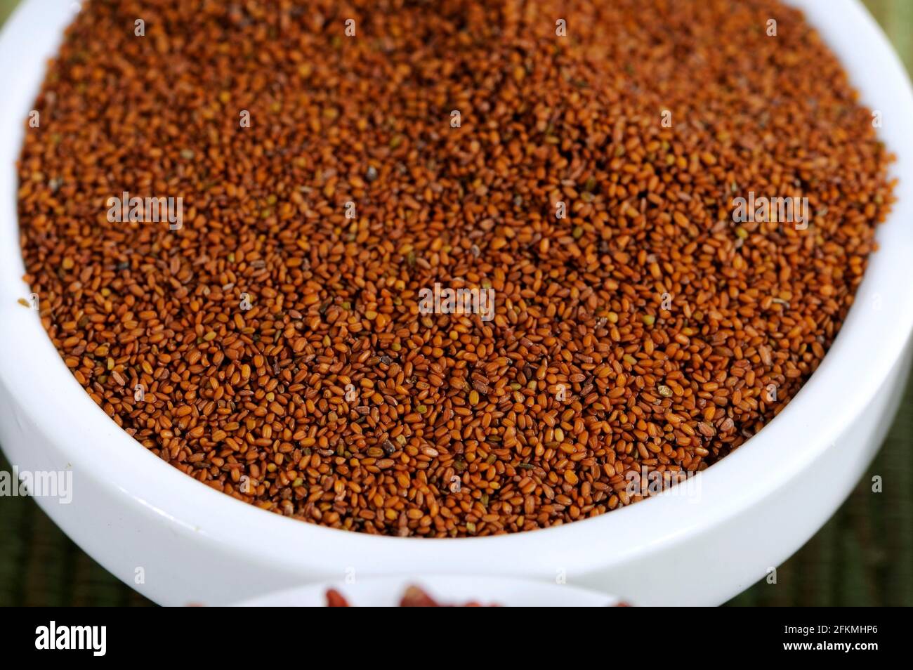 Pepperweed (Lepidium apetalum), Tanzym Mustard Seed, Ting Li Zi, Sheng ...