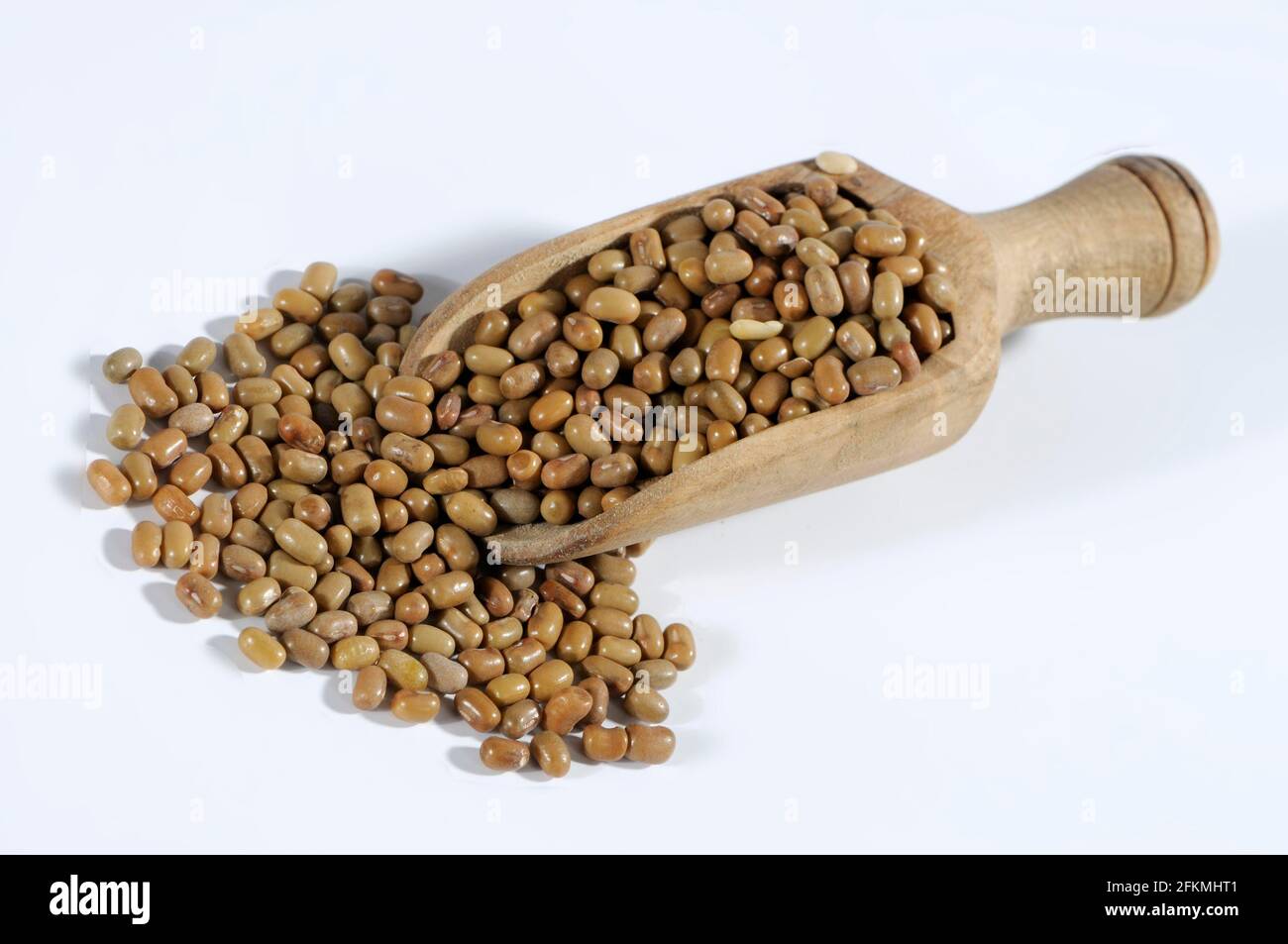 Moth beans, mat beans (Vigna aconitifolia), wooden shovel Stock Photo ...