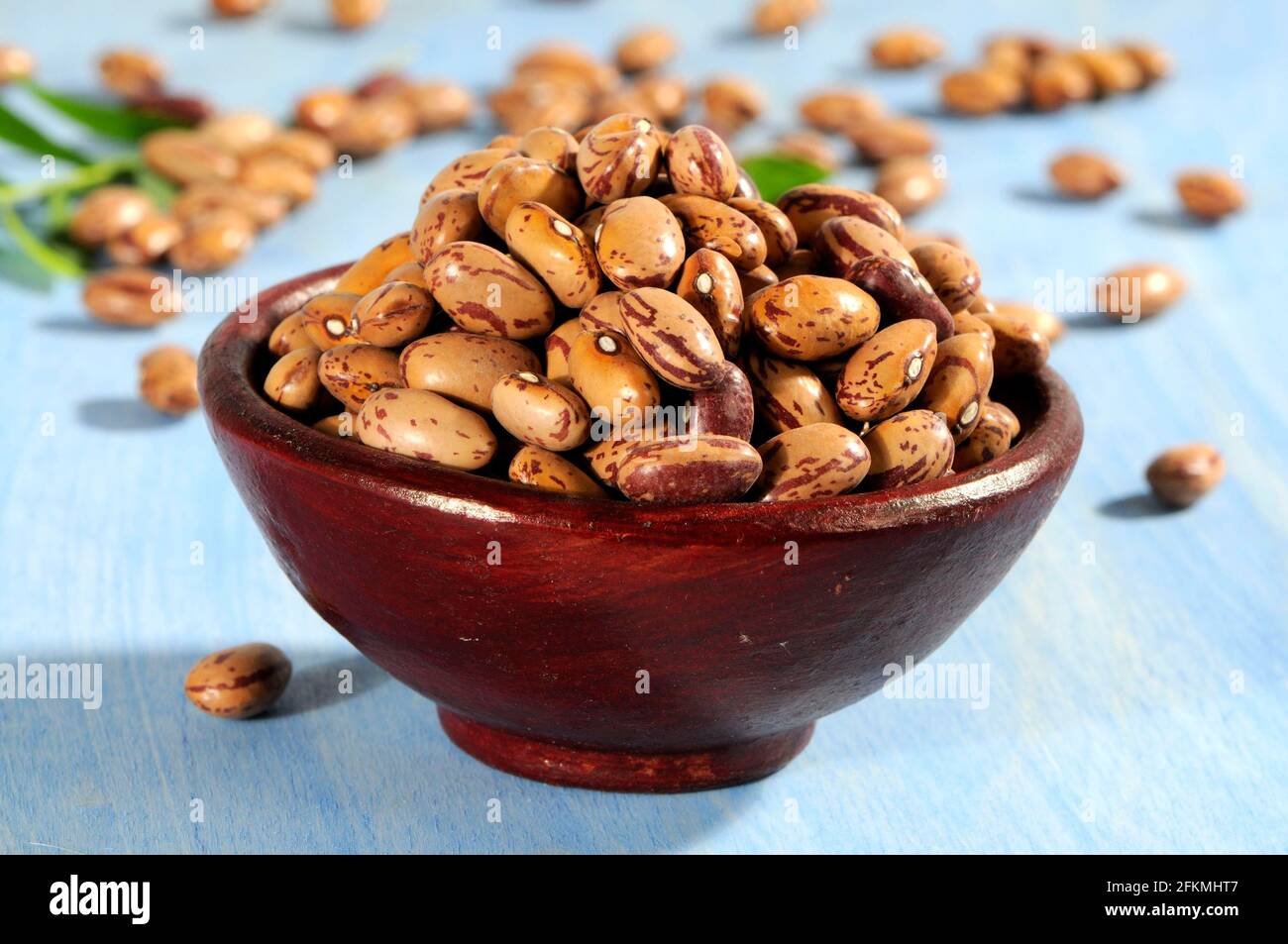 Pinto Bean, Pinto Beans, Shell Stock Photo - Alamy
