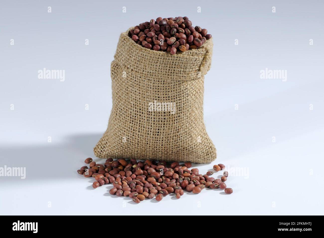 Azuki beans (Phaseolus angularis), azuki bean, azuki beans, adzuki ...