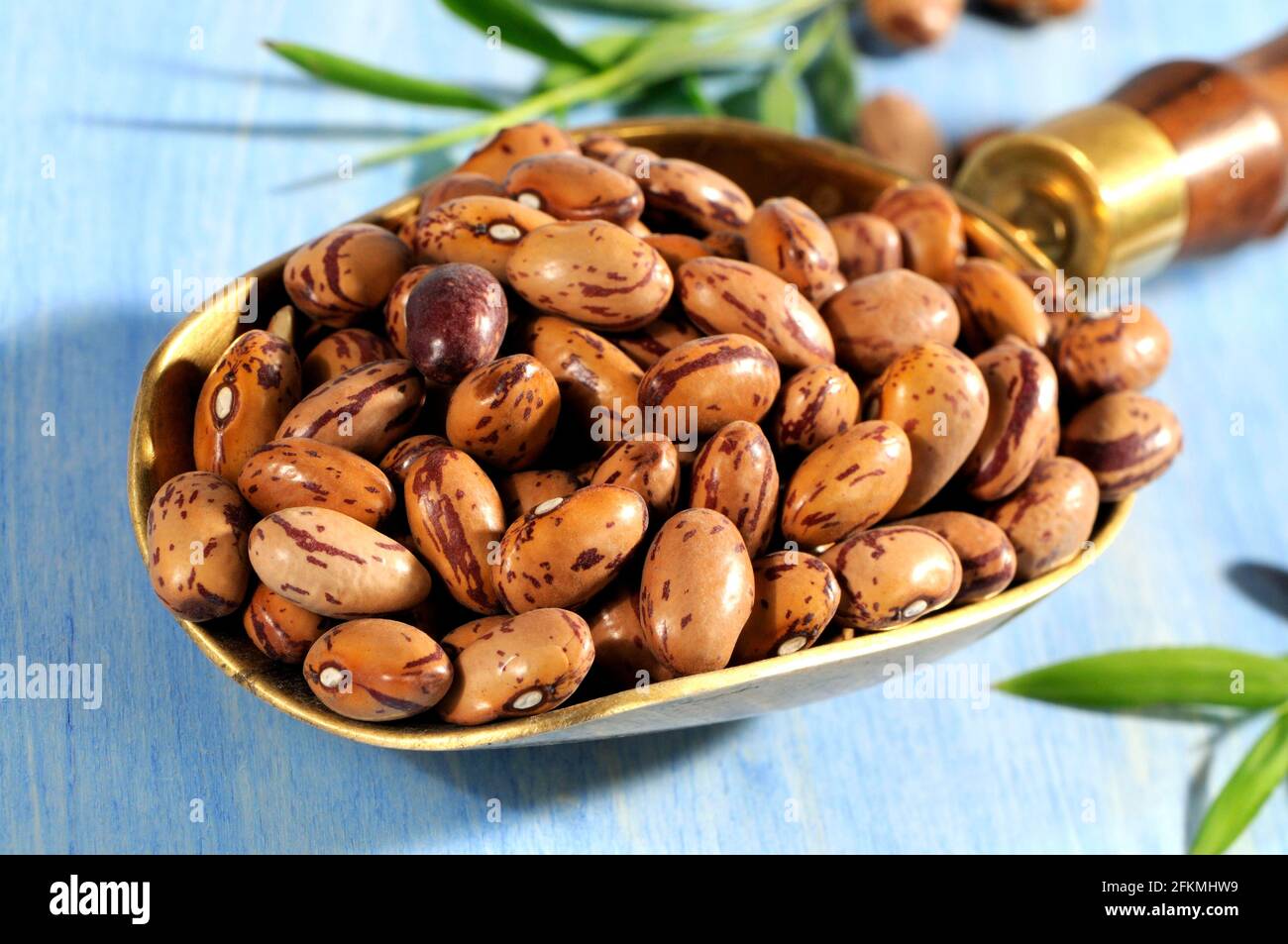 Pinto bean, pinto beans Stock Photo - Alamy