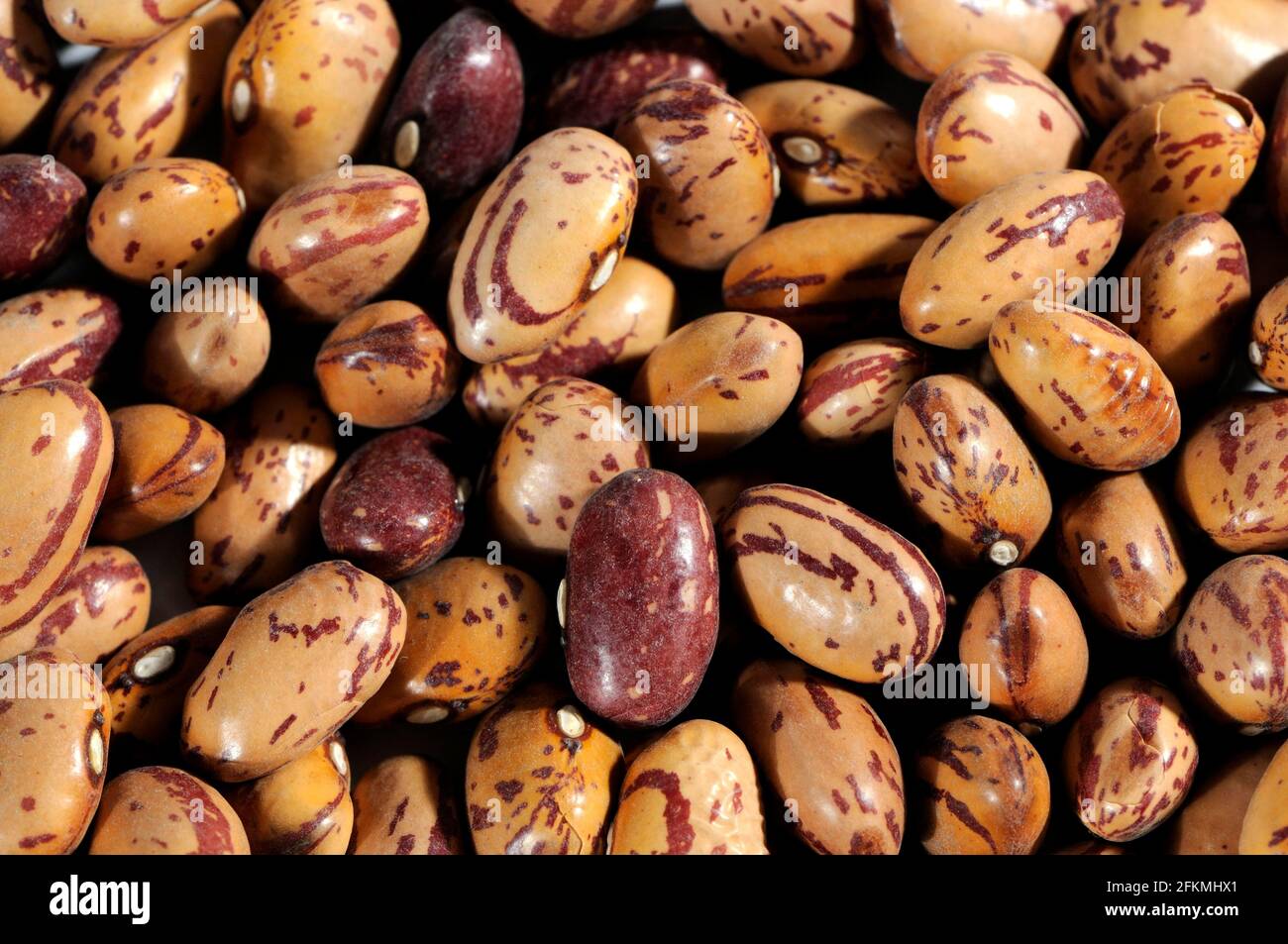 Pinto bean, pinto beans Stock Photo - Alamy