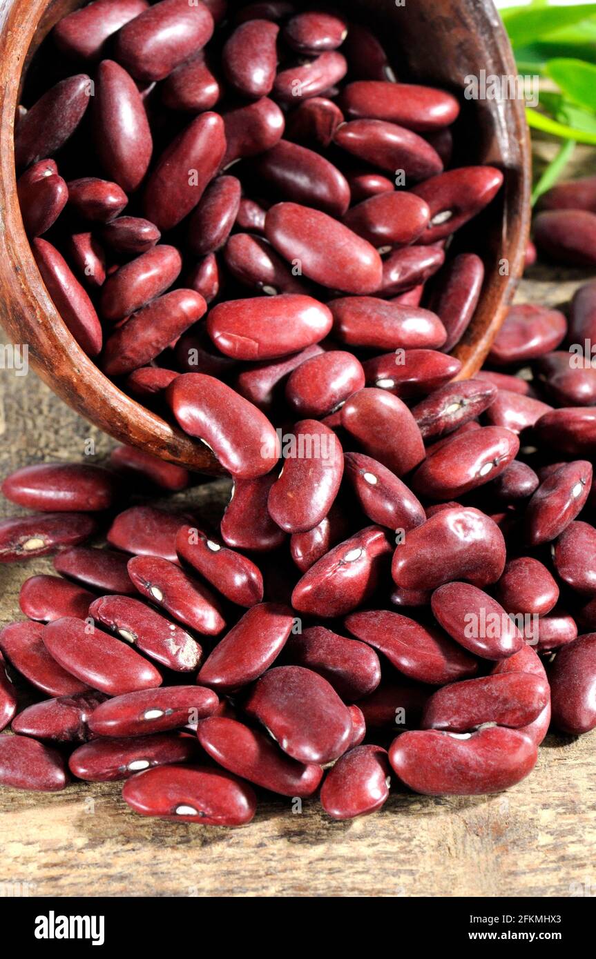 Red kidney beans, shell Stock Photo - Alamy