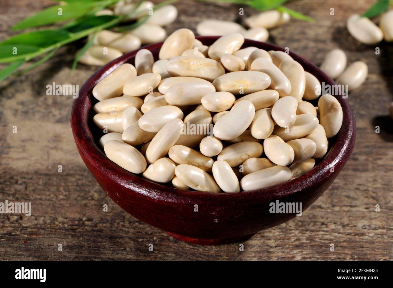 Cannellini bean, cannellini beans, white beans, shell Stock Photo - Alamy
