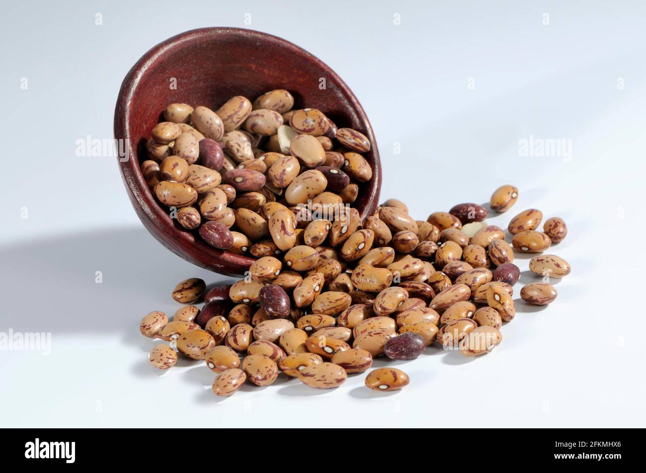 Pinto Bean, Pinto Beans, Shell Stock Photo - Alamy