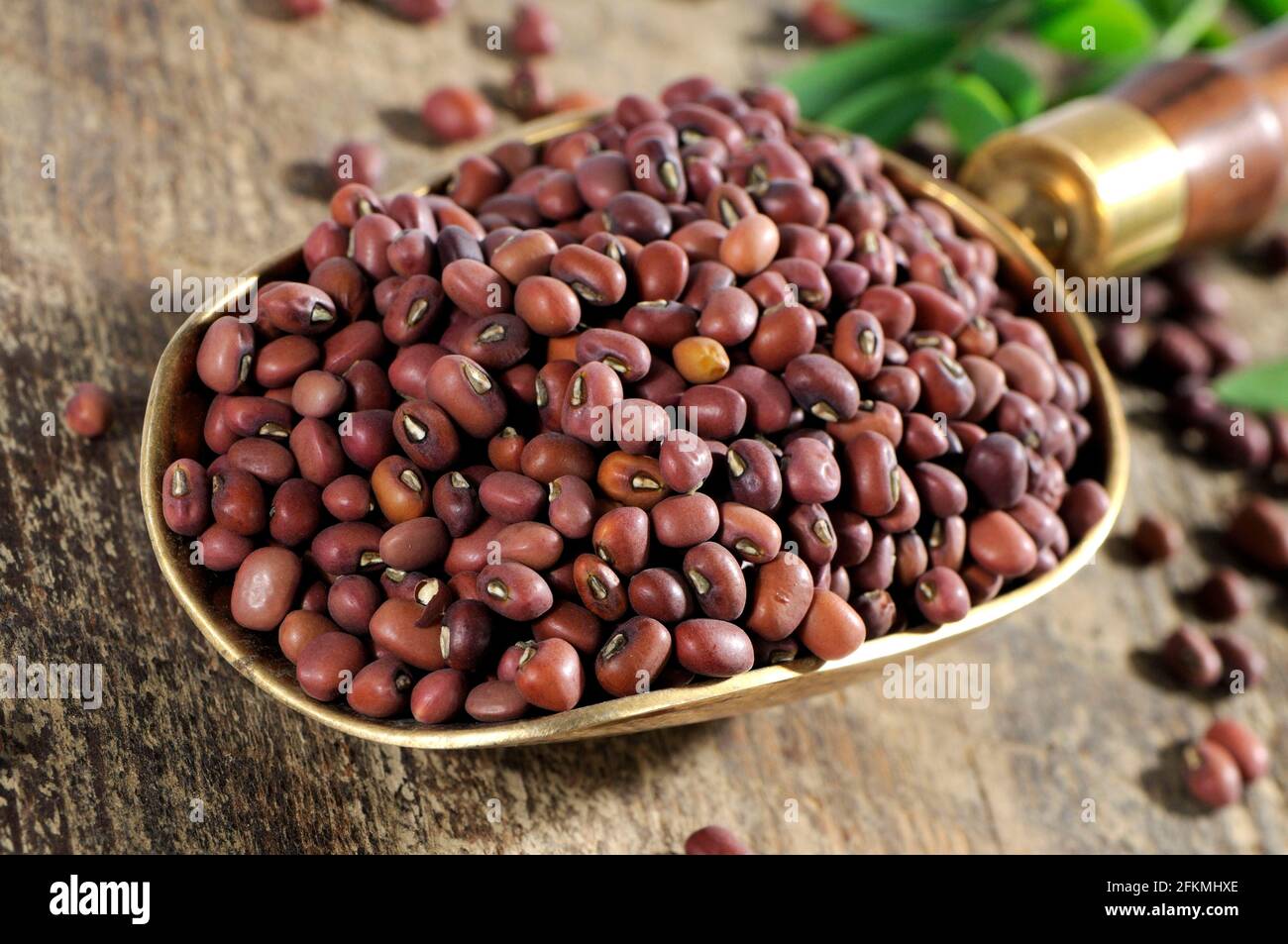 Azuki beans (Phaseolus angularis), azuki bean, azuki beans, adzuki beans, adzuki bean, badzuki ...