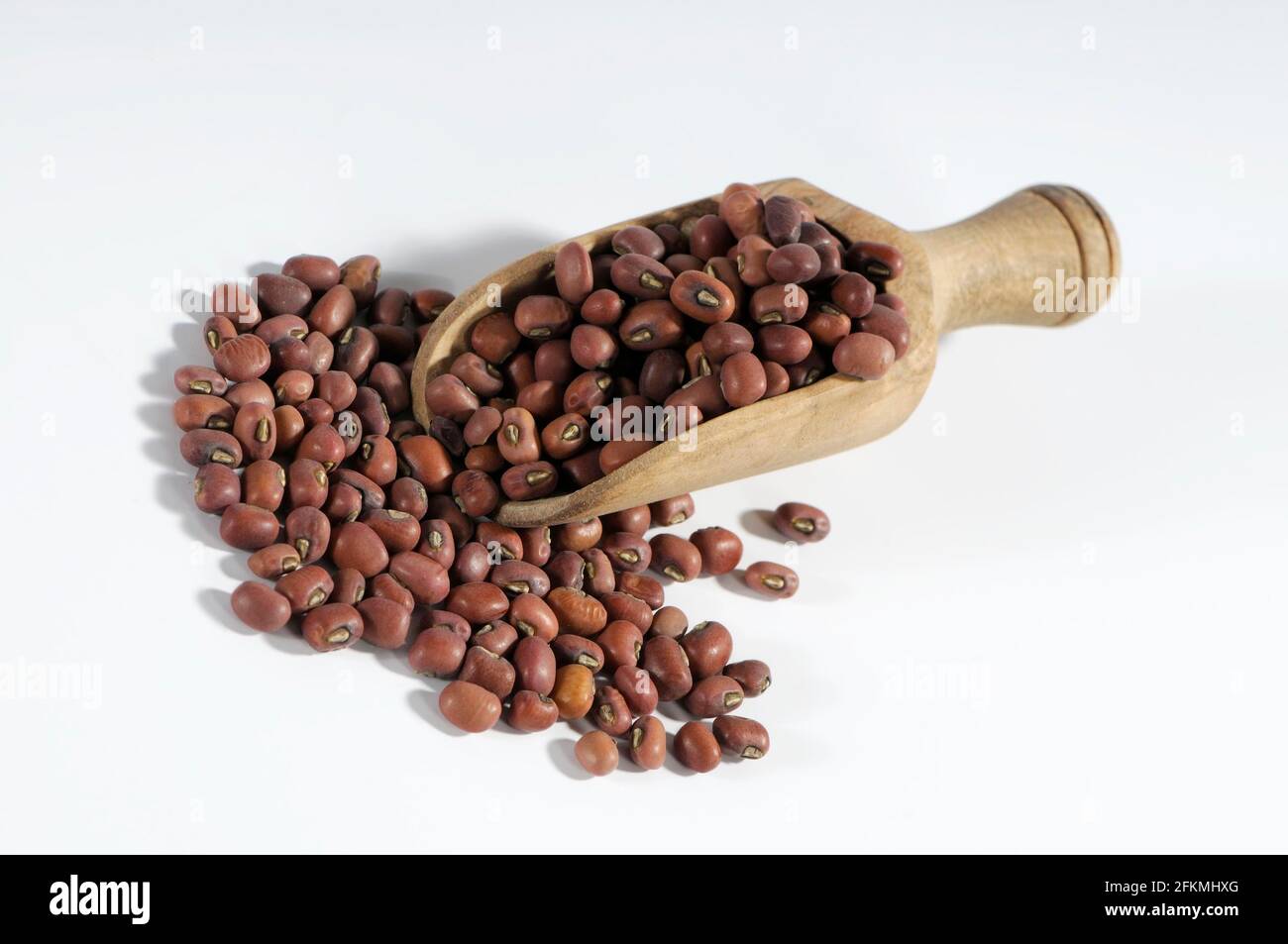 Azuki beans (Phaseolus angularis), azuki bean, azuki beans, adzuki beans, adzuki bean, badzuki ...