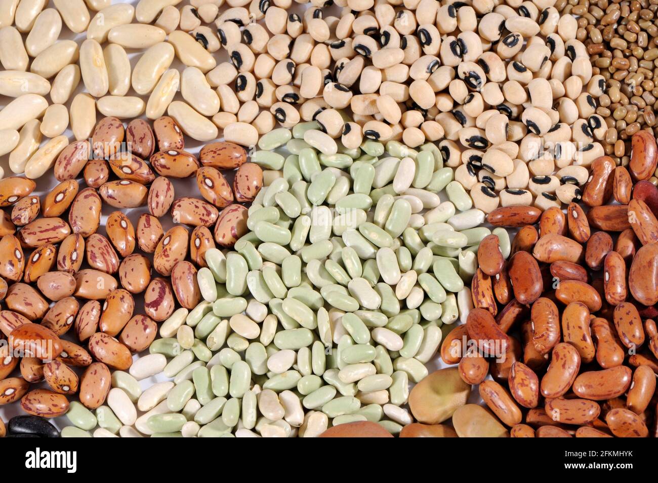 Various kinds of beans, bean Stock Photo - Alamy