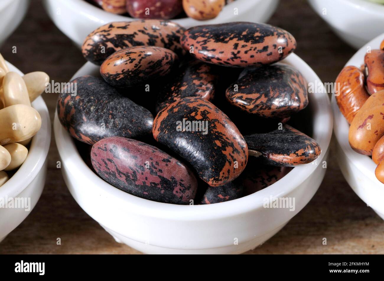 Fire beans (Phaseolus multiflorus), beetle bean (Phaseolus coccineus ...
