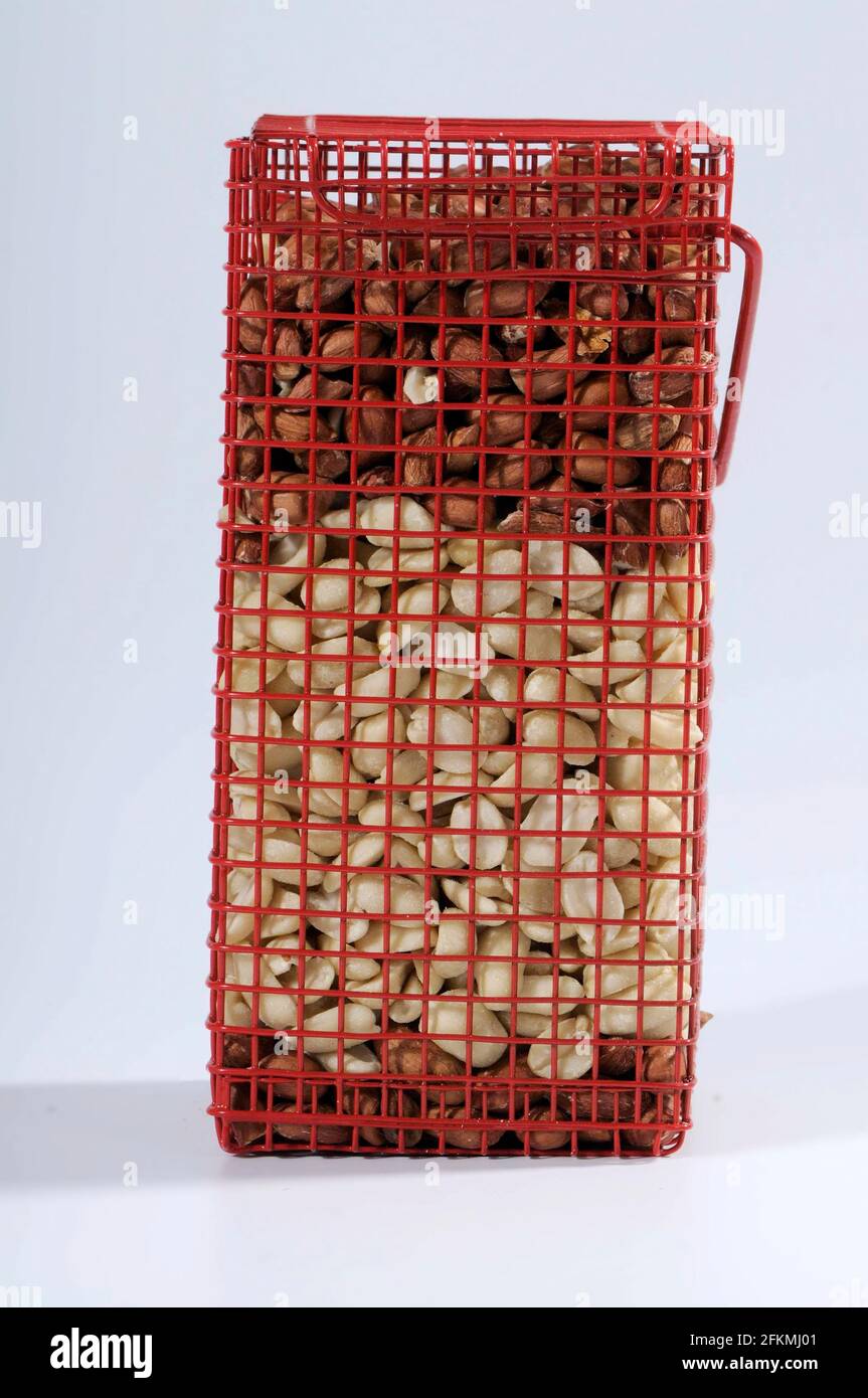 Feeding hut for winter feeding, peanuts Stock Photo - Alamy