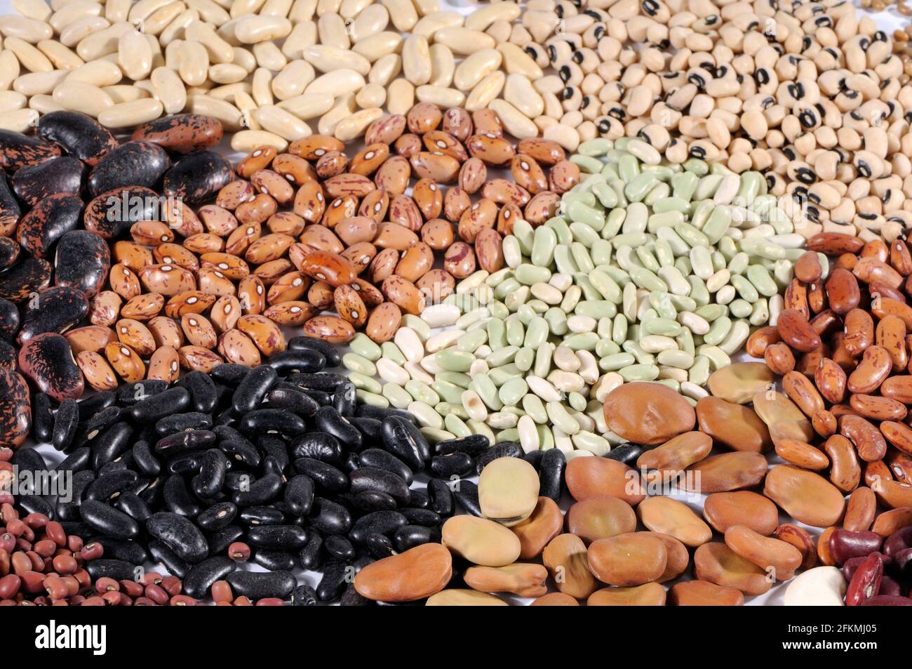 Various kinds of beans, bean Stock Photo - Alamy