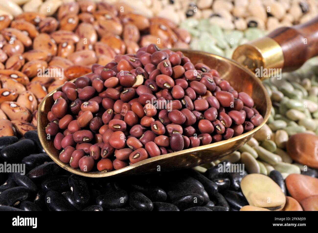 Various kinds of beans, bean Stock Photo - Alamy