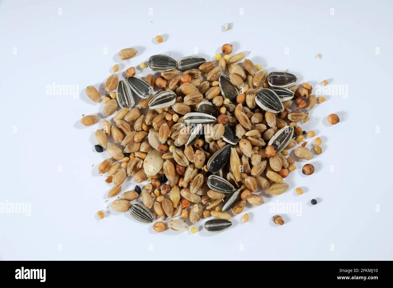 Birdseed for winter hi-res stock photography and images - Alamy
