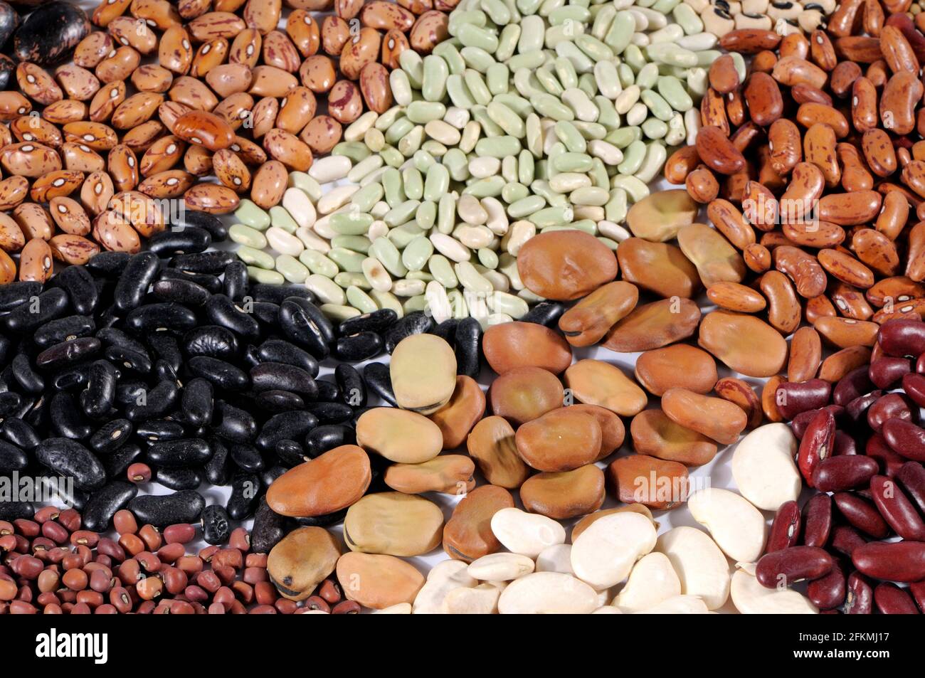 Various kinds of beans, bean Stock Photo - Alamy