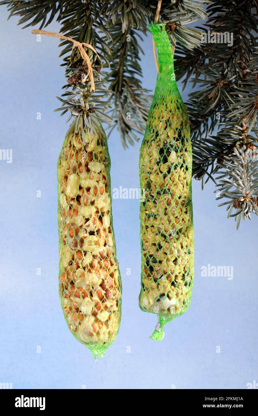 Peanut feeding hi-res stock photography and images - Alamy