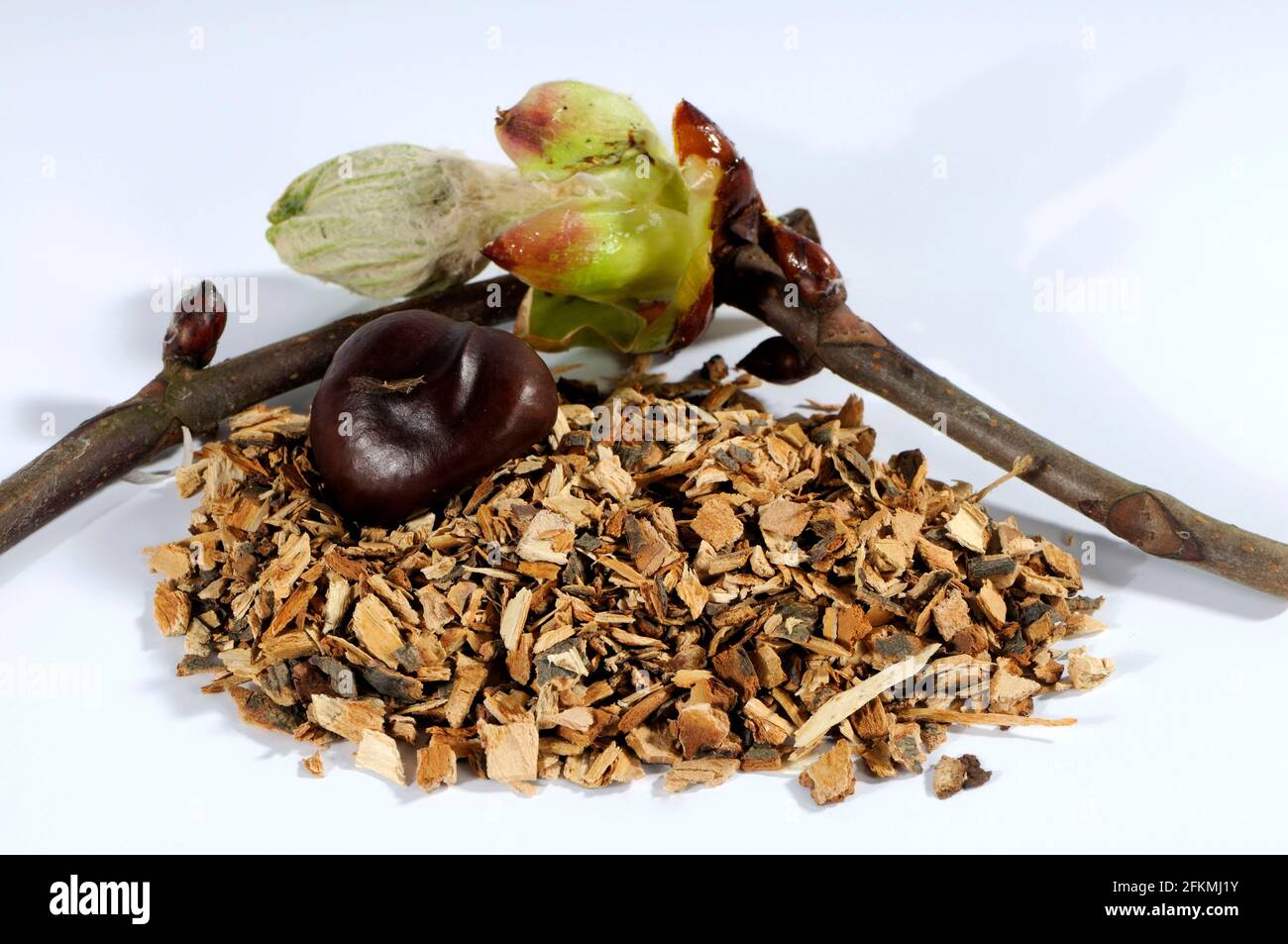 Horse chestnut, bark (Aesculus hippocastanum), chestnut, chestnut bark ...