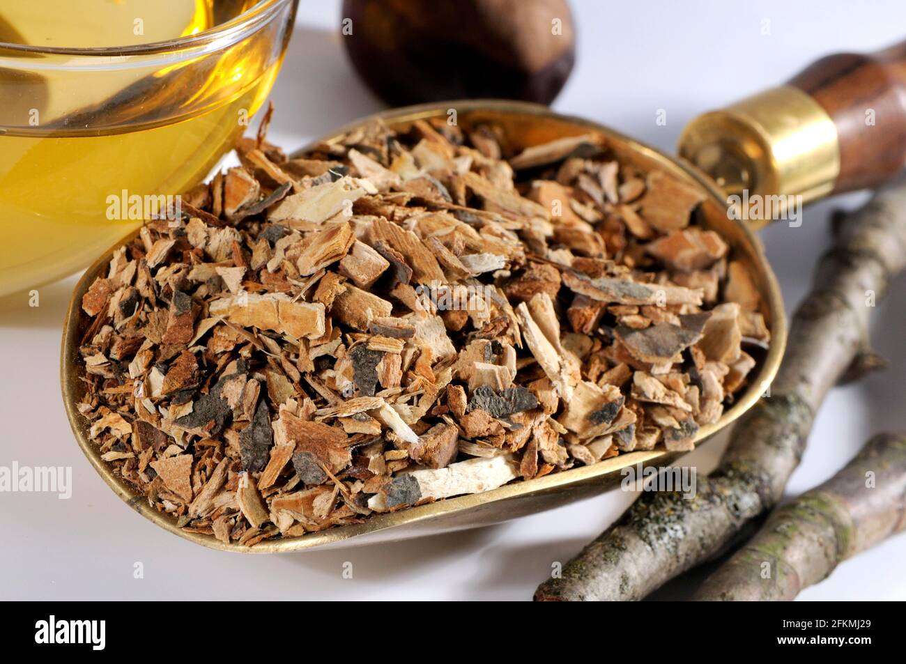 Horse chestnut, bark (Aesculus hippocastanum), chestnut, chestnut bark ...