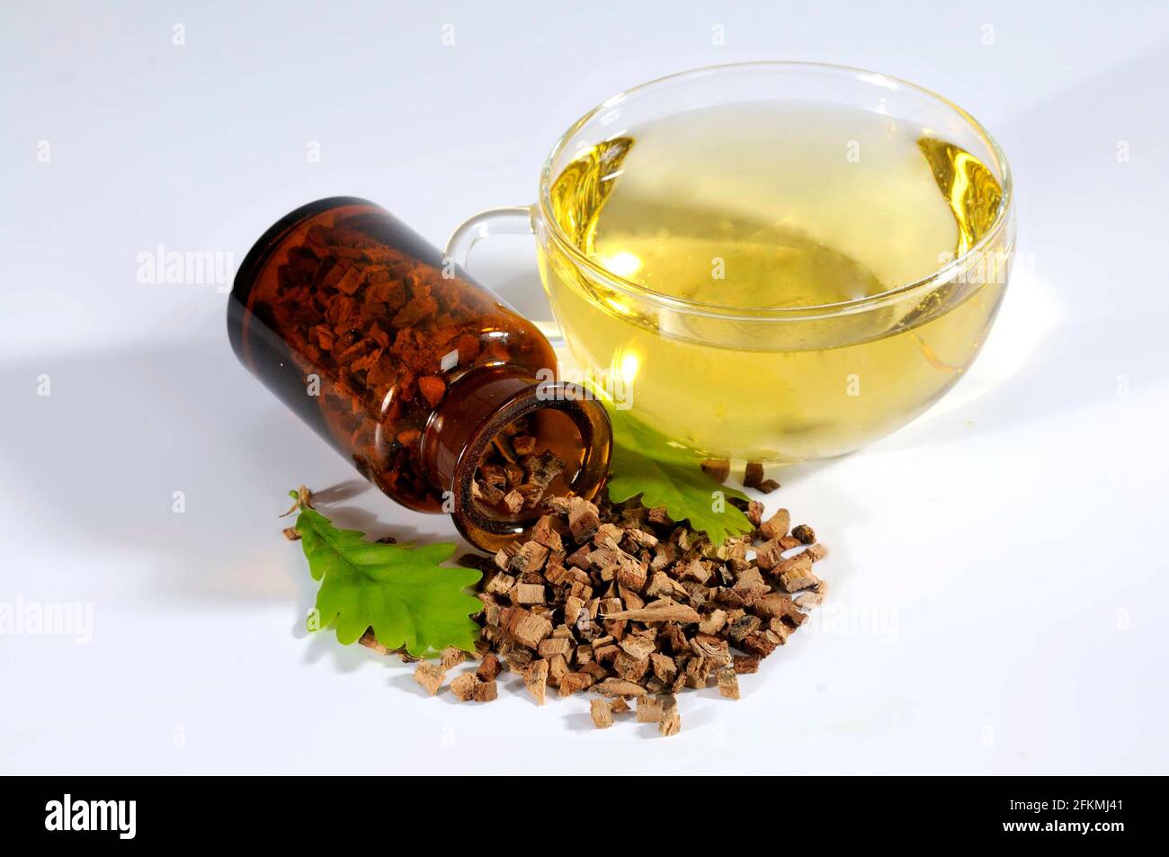 Cup of oak bark tea, oak bark tea, oak bark, English oak, summer oak ...