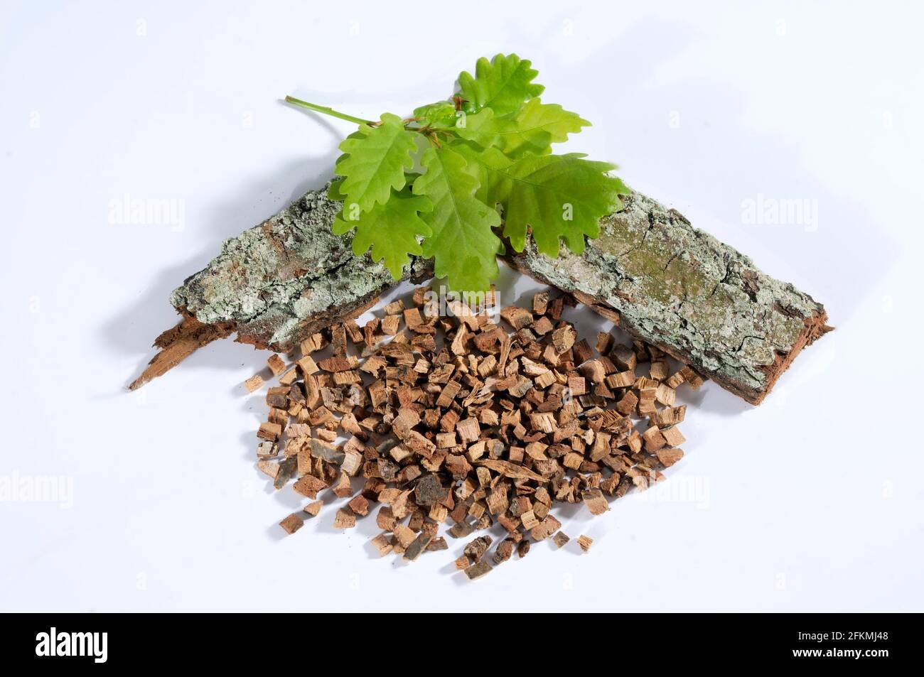 Oak bark hi-res stock photography and images - Alamy