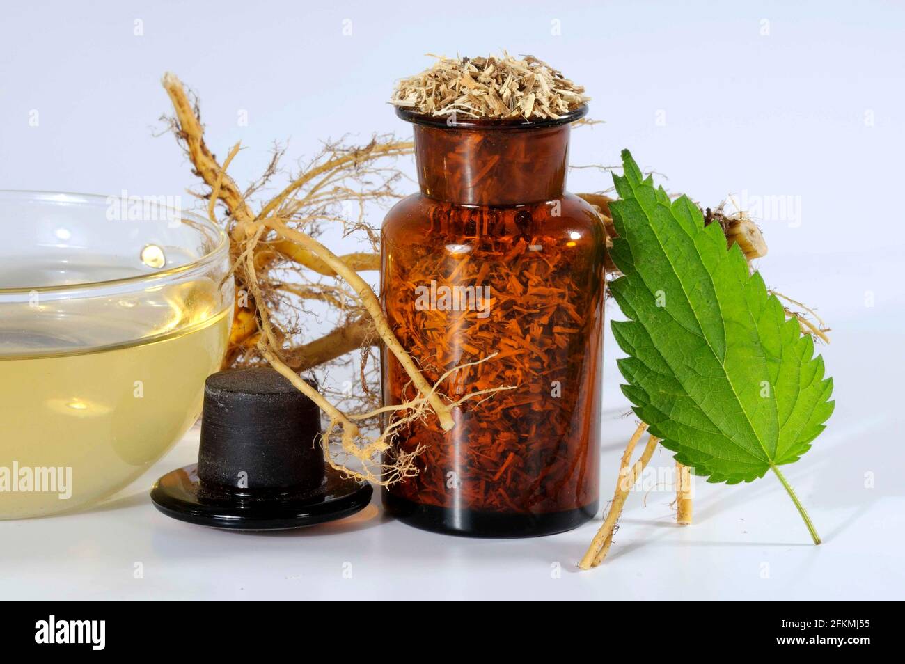 Cup of nettle root tea, dried nettle root (Urtica dioica), nettle, root ...