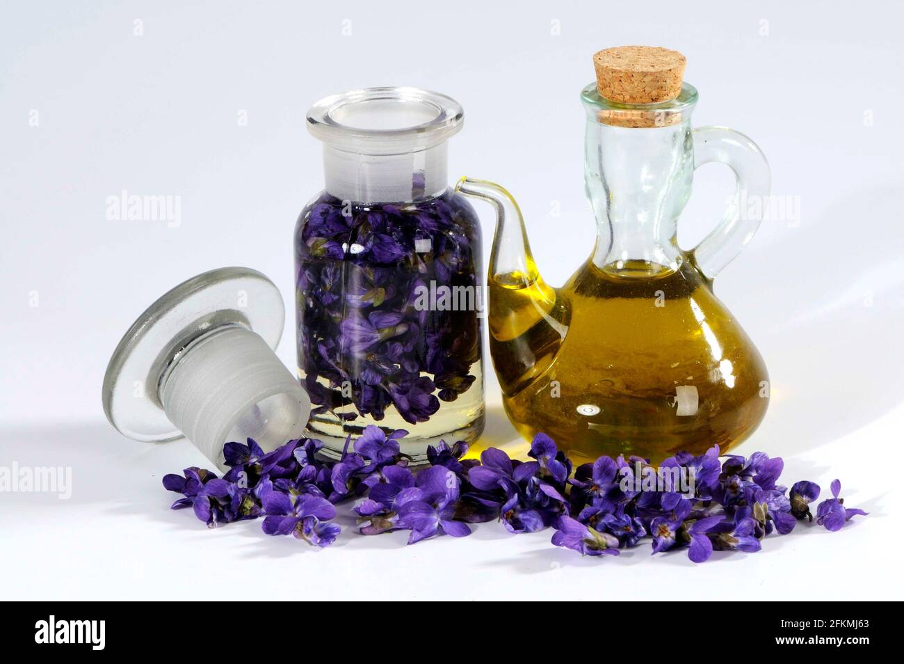 Wood violet (Viola odorata), violet tincture and oil, sweet violet ...