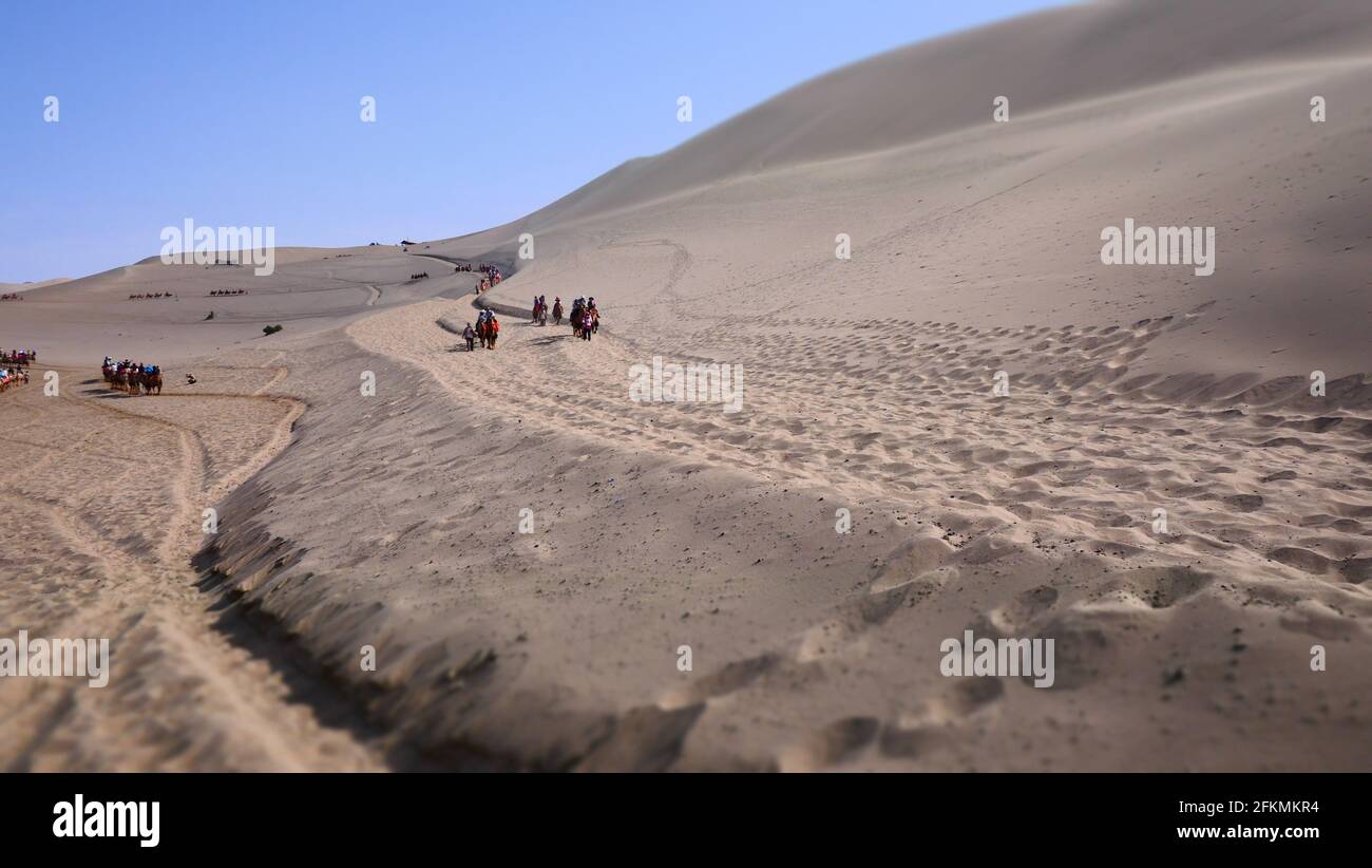 Saudi arabian desert caravan hi-res stock photography and images - Alamy
