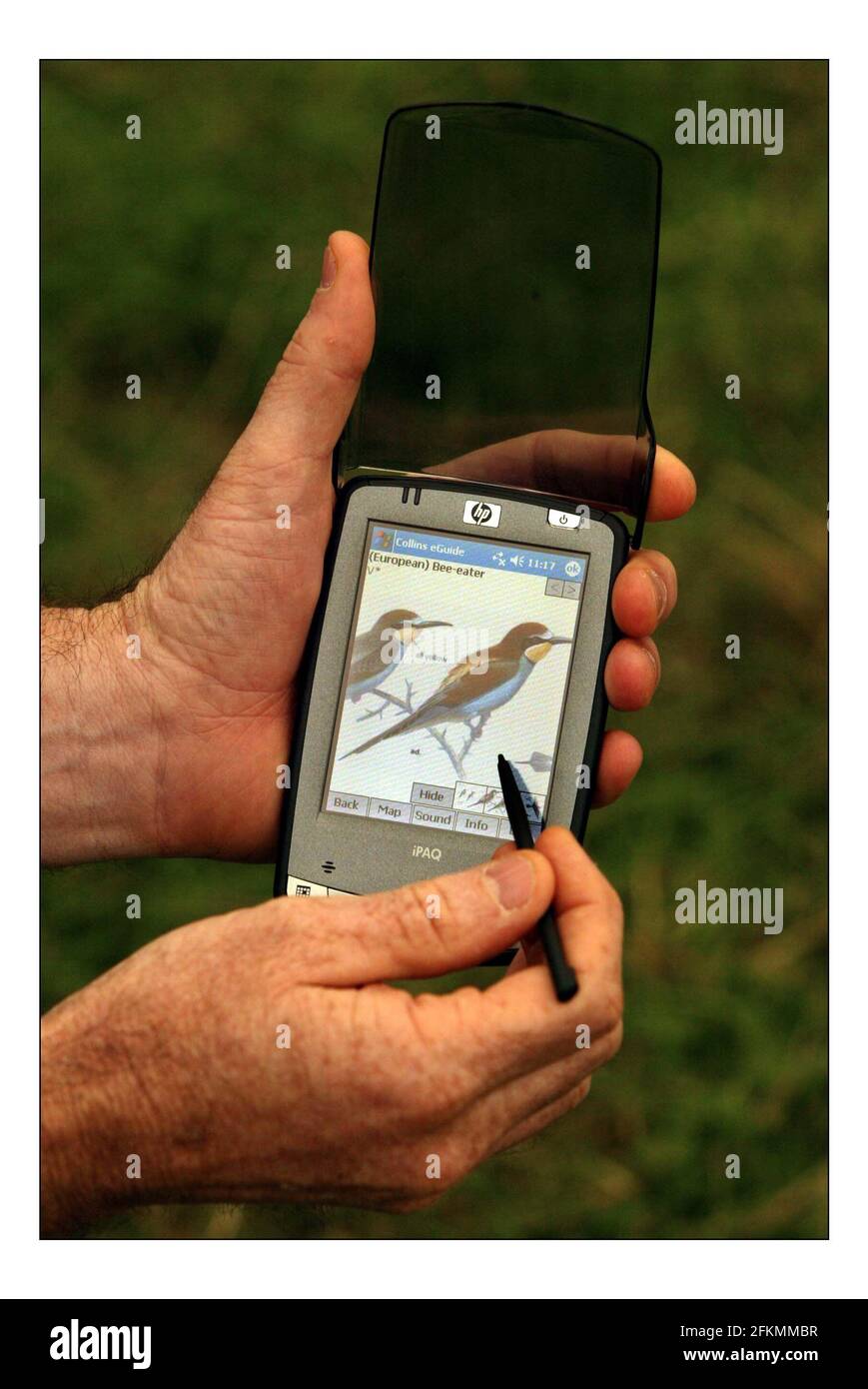 Collins Bird e-guide on a P.D.A. launched at the BIRDFAIR....19 to 21 ...