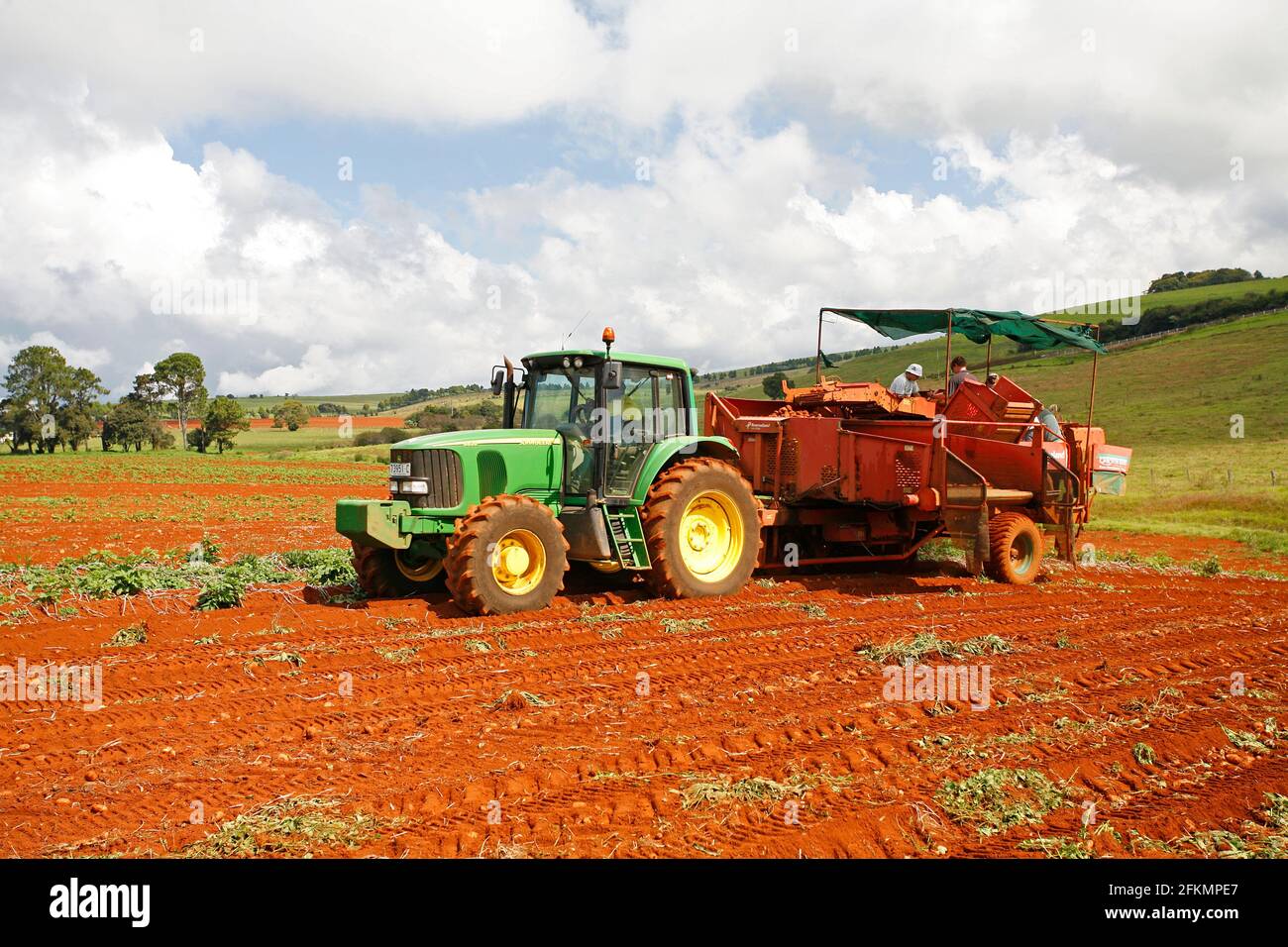 Harvesting potatoes using a John Deere 6620 tractor and Kverneland ...