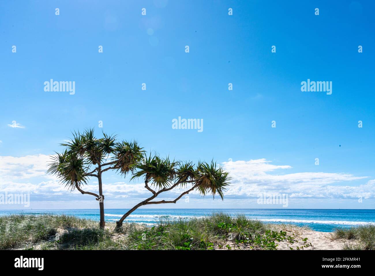 Tropical scene sand dunes and Surfers Paradise beach view Stock Photo ...