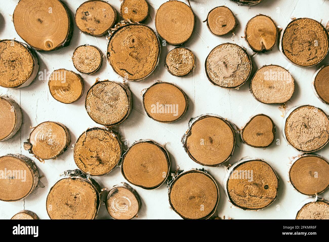 Cross section of tree trunks background. Wood texture, round wooden ...