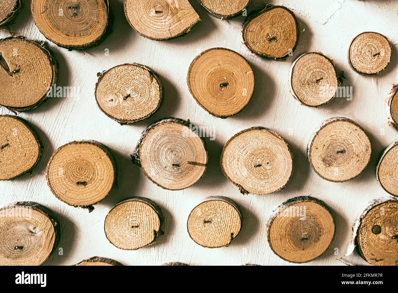 Cross section of tree trunks background. Wood texture, round wooden ...