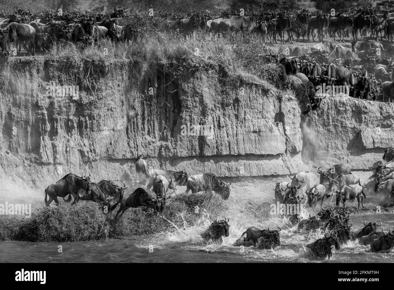 Jumping river africa hi-res stock photography and images - Alamy