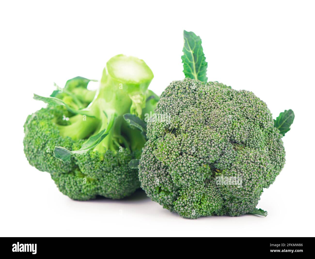 fresh green broccoli isolated on white background Stock Photo - Alamy
