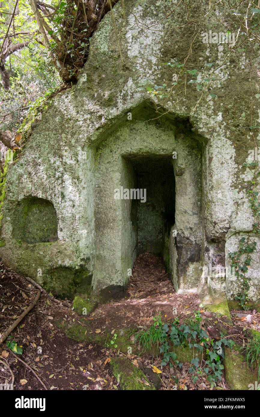 Parco di Veio, regional park in the province of Rome. Etruscan tombs in ...
