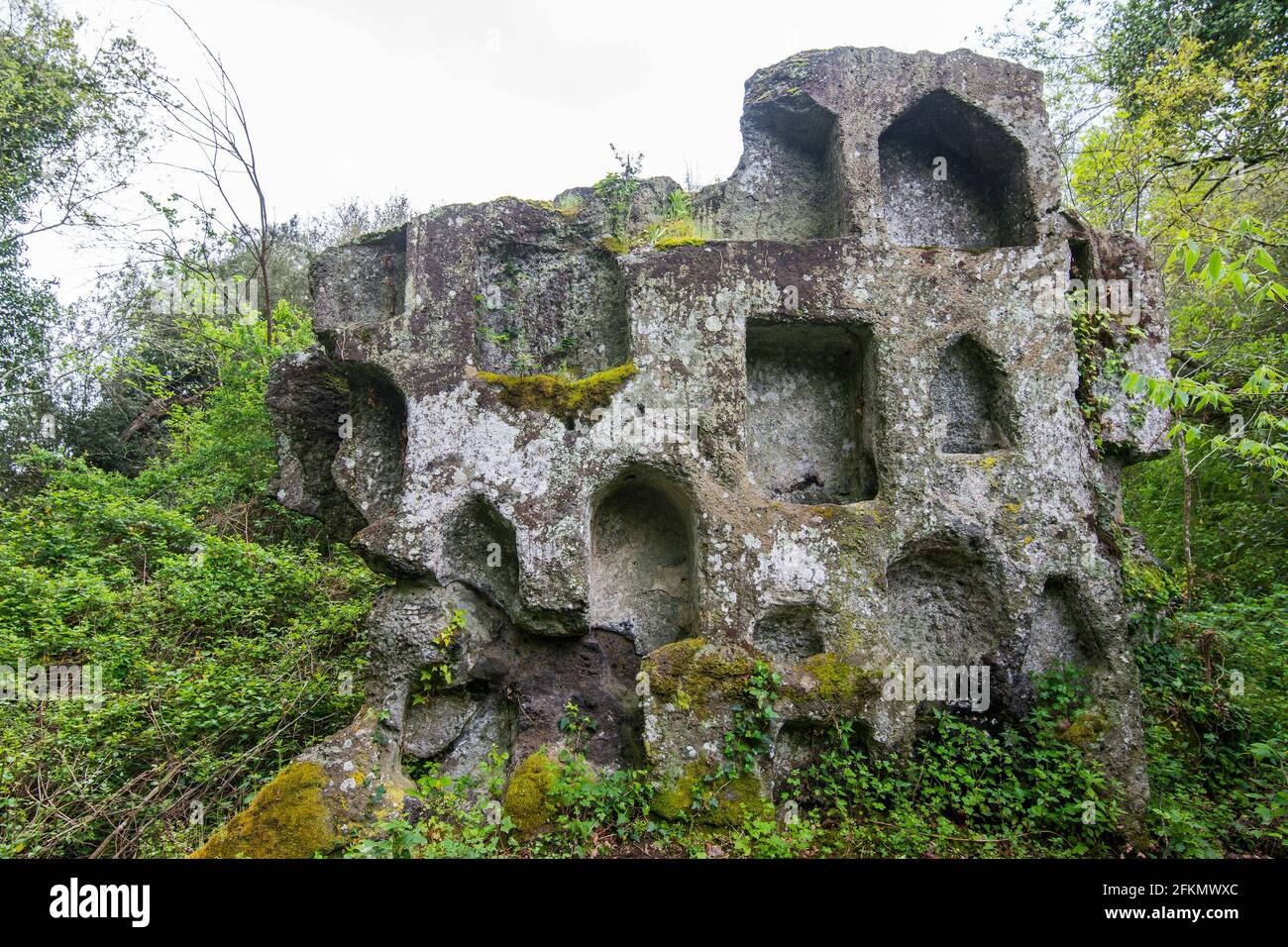 Parco di Veio, regional park in the province of Rome. Etruscan tombs in ...