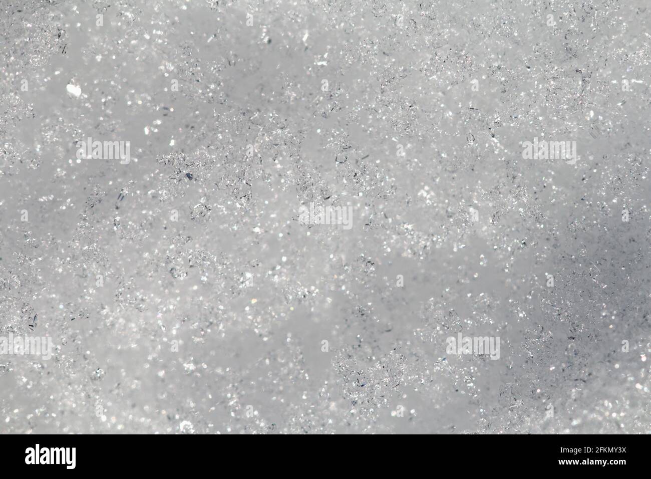 Winter snow. Snow texture Top view of the snow. Texture for design ...