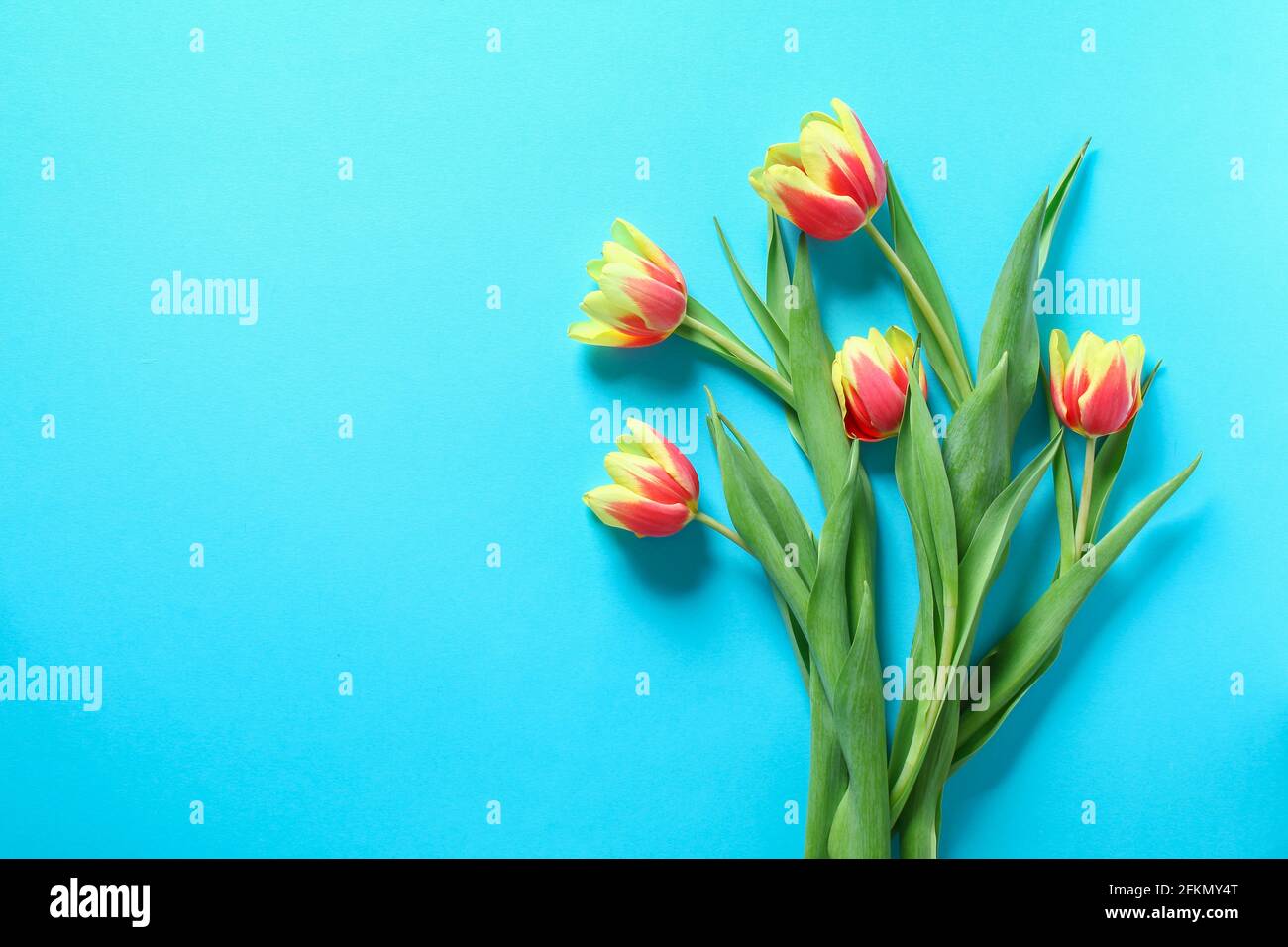 A bouquet of tulips as a gift for March 8, Mother's Day, Valentine's ...