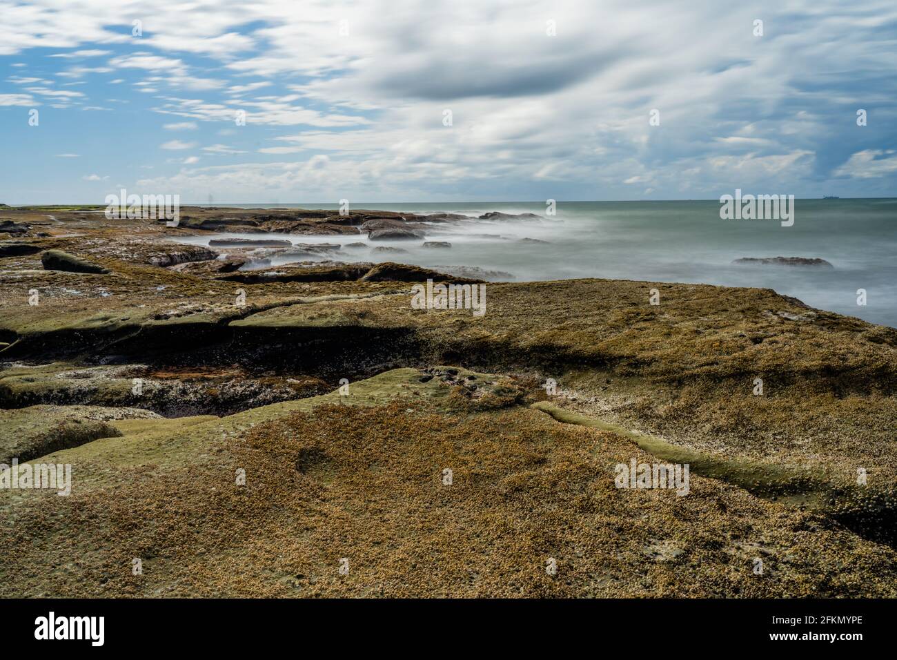 Smooth sand beach with birds hi-res stock photography and images - Alamy