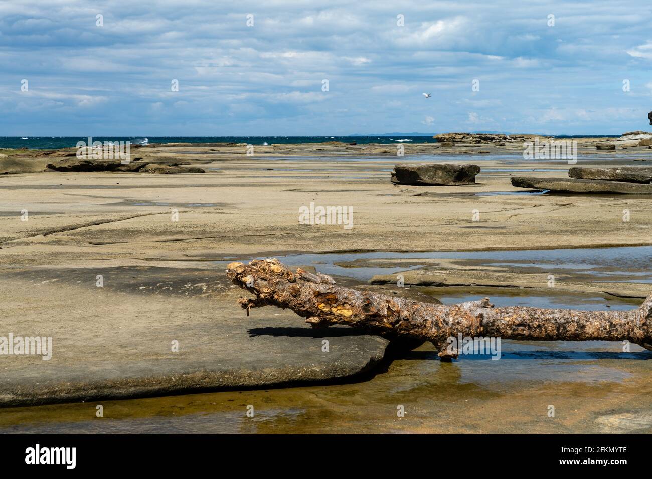 Branch rocks sea sunset sky branch hi-res stock photography and images ...