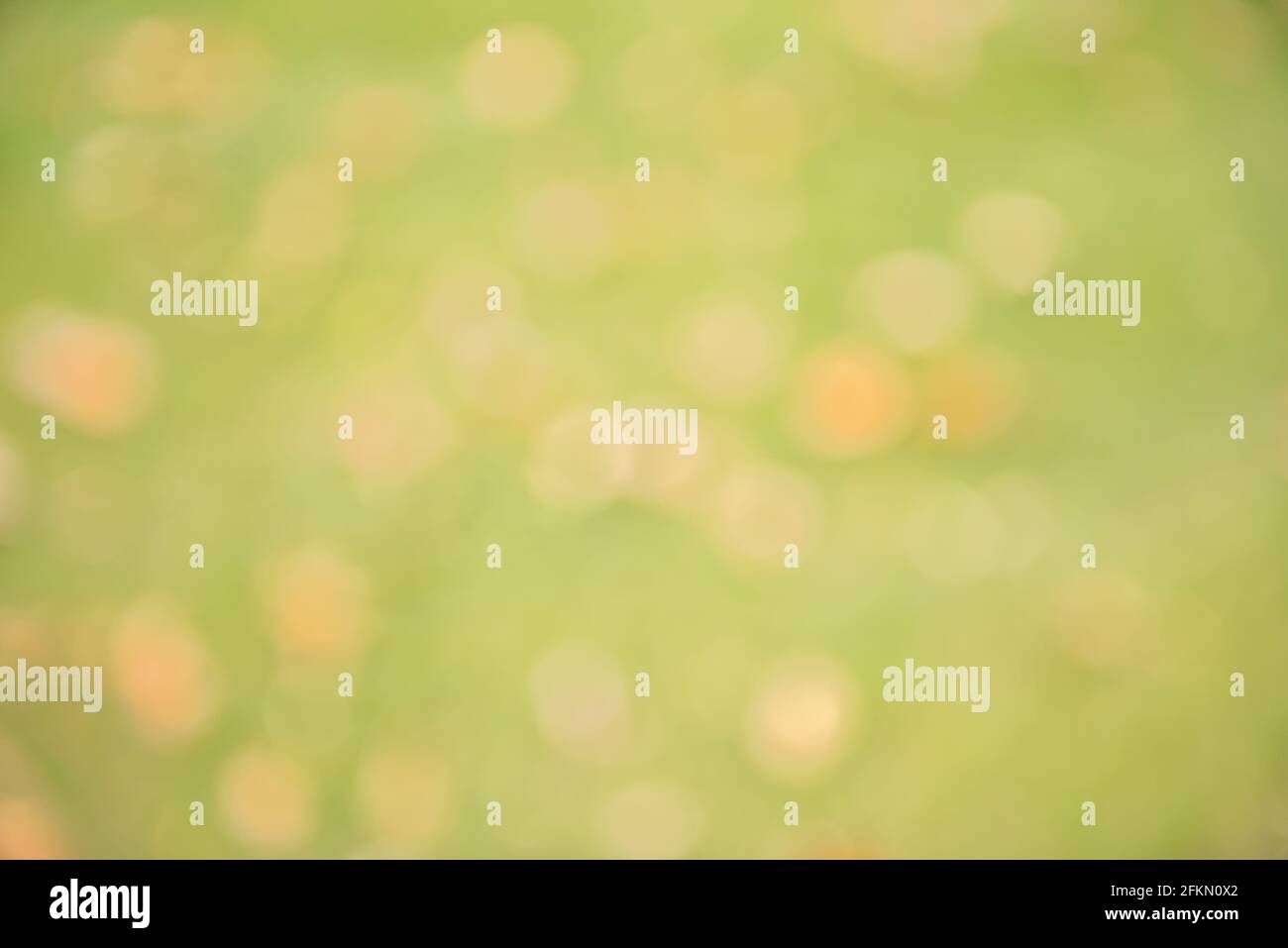 Blurred unfocused background with orange and beige bokeh on grass green ...