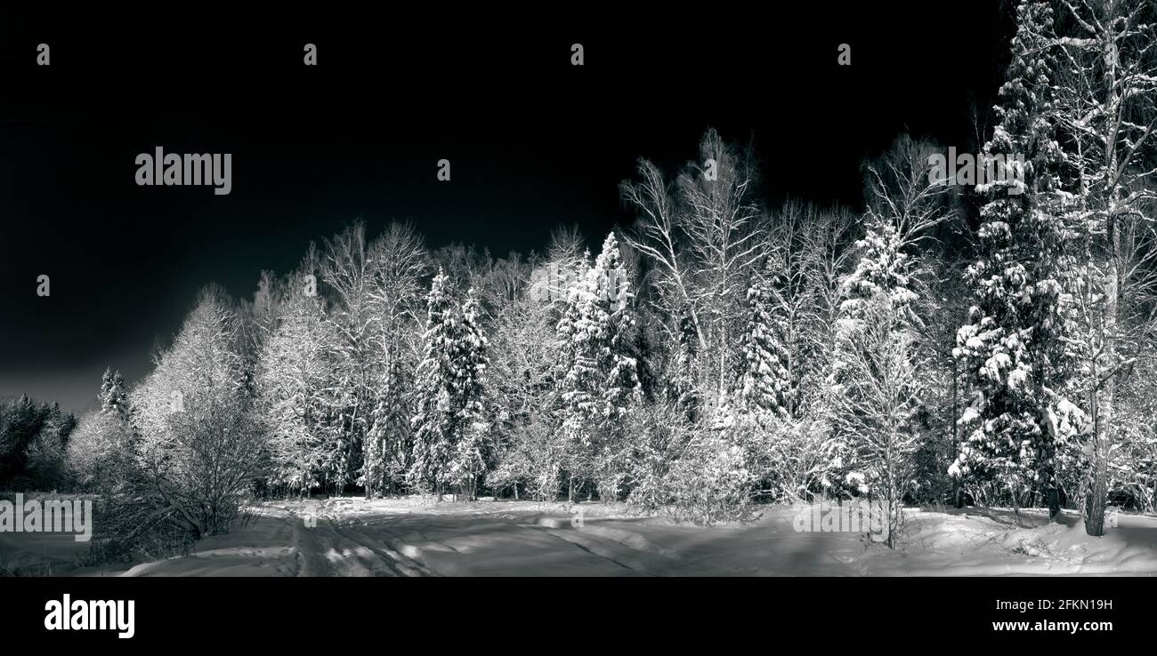 Dark snow night landscape hi-res stock photography and images - Alamy