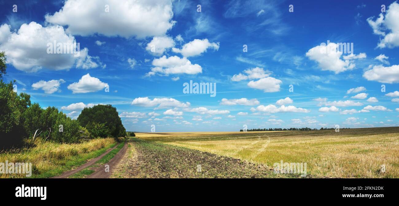 Summer rural landscape with beautiful blue sky over the golden farm ...