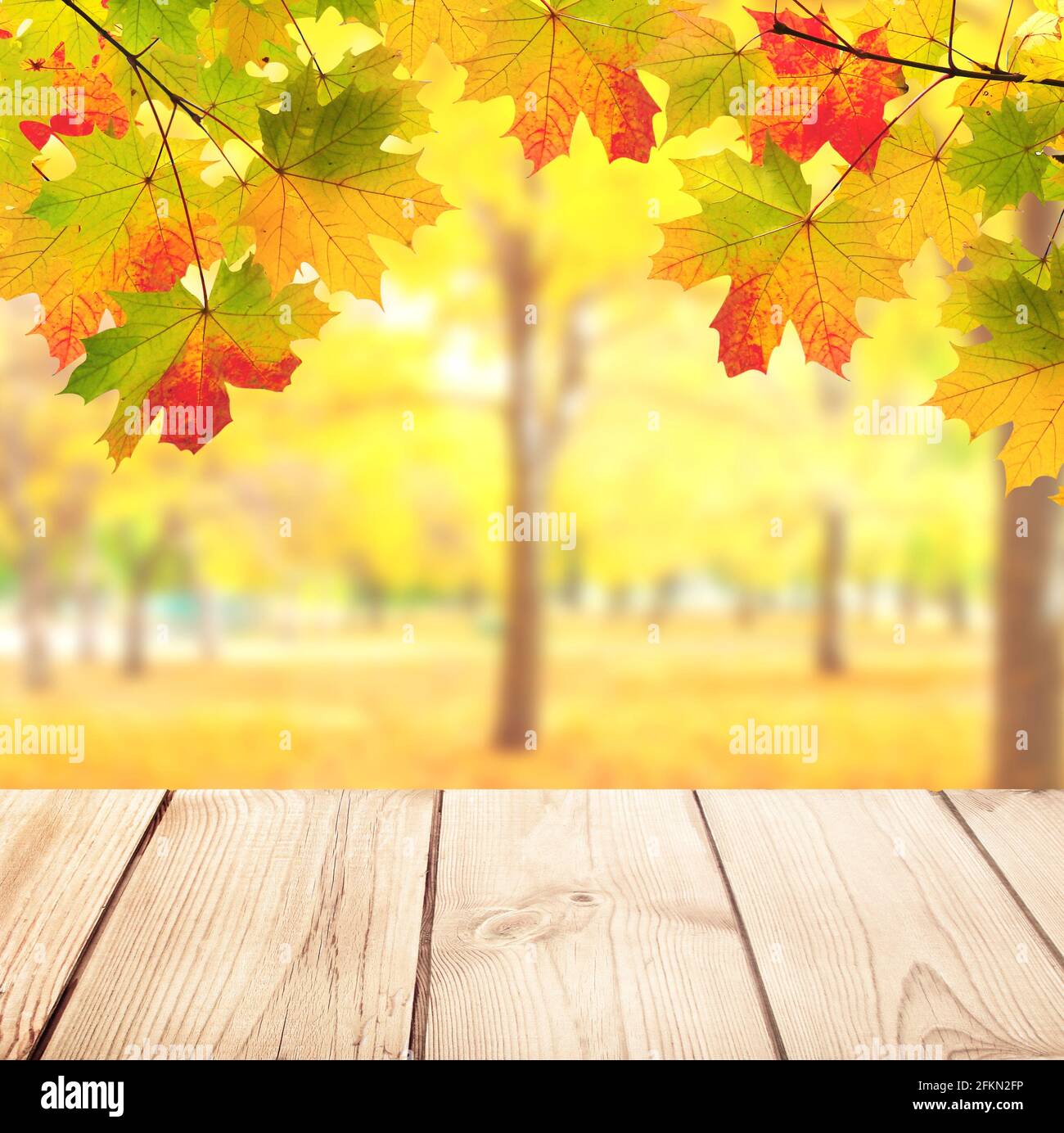 Old wooden desk with nature fall background. Vintage wooden table top ...